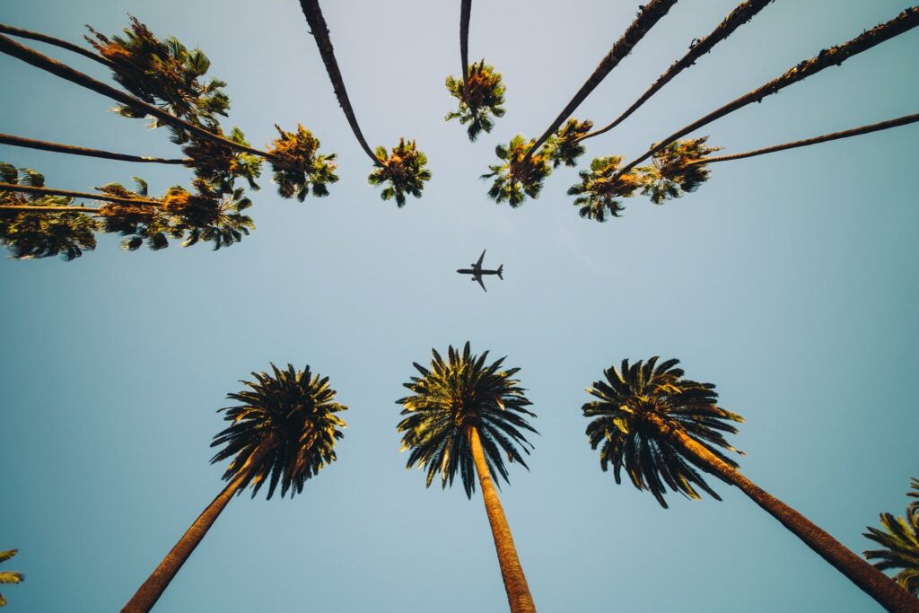 Meet Dr. Shastri - Made in Miami